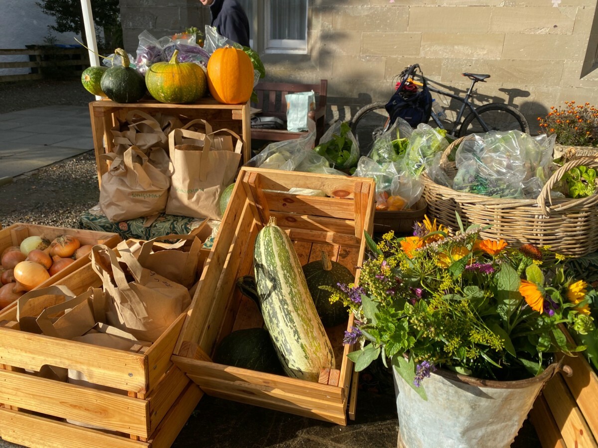 Strengthening & Developing Community-Led Food Growing In Tayside ...